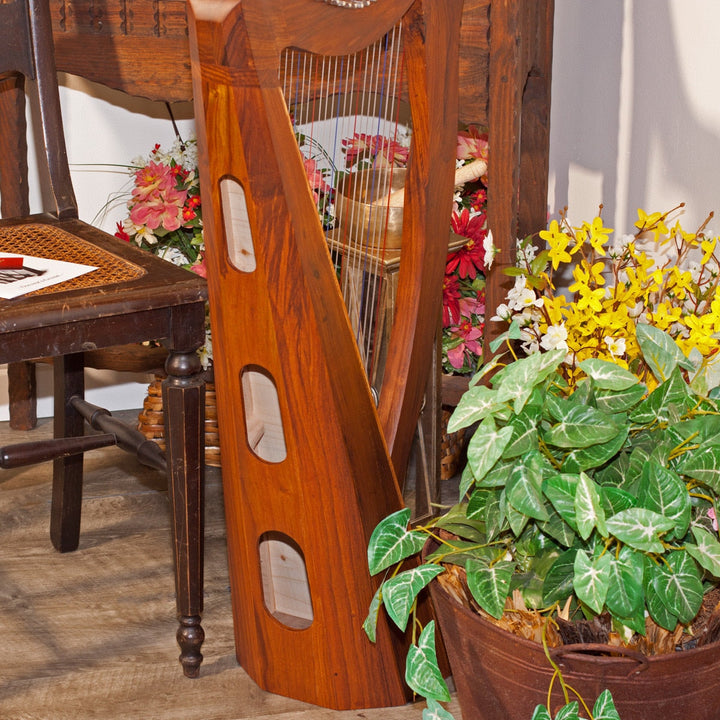 Lap Harps – Lark in the Morning