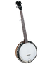 Rover RB-25 Student 5-String Resonator Banjo – Lark in the Morning