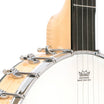 Gold Tone "Maple Mountain" Banjo MM-150LN Long Neck with Case – Lark in ...