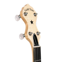 Gold Tone "Maple Mountain" Banjo MM-150LN Long Neck with Case – Lark in ...