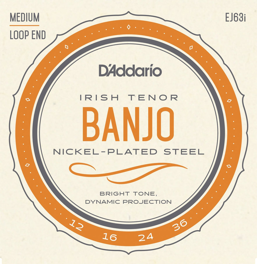 Gold Tone CC Irish Tenor 4 String Banjo – Lark in the Morning